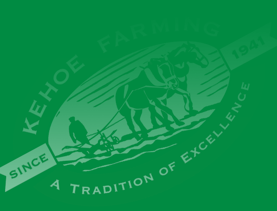 Website Launch 10% Discount | Kehoe Farming